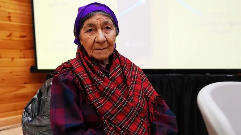 Colonial governments continue to destroy Innu land and traditional ...