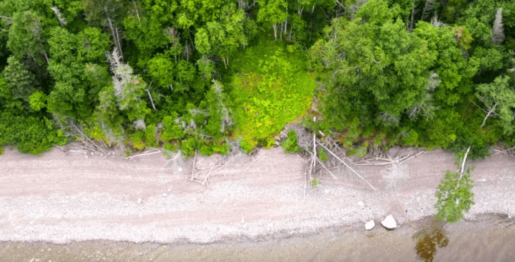 Power struggle: History grapples with electricity at Beothuk Lake ...