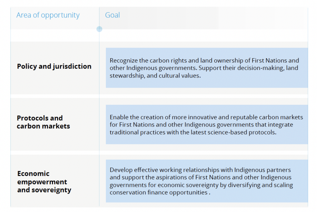 Indigenous leadership must play a key role in Canada’s climate goals ...