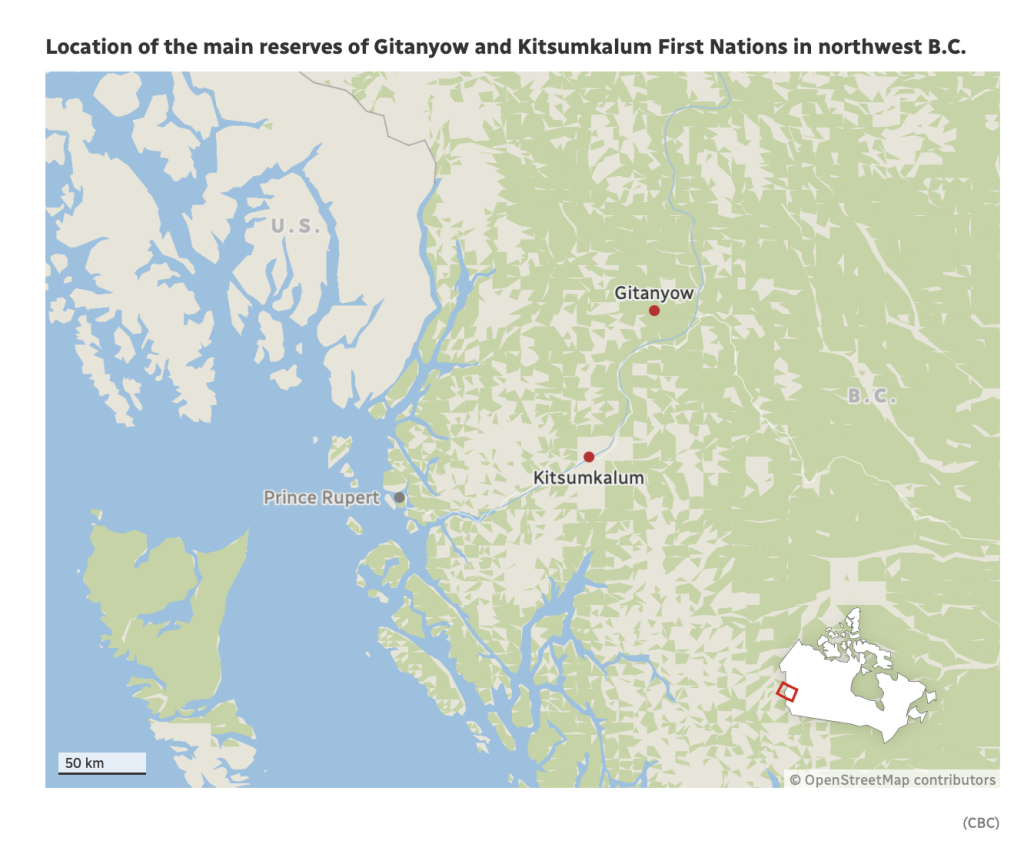 B.C. gov't didn't properly consult with Gitanyow First Nation in forest ...